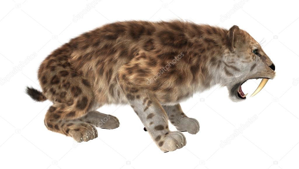 Big Cat Sabertooth Roaring Stock Photo by ©PhotosVac 90365660