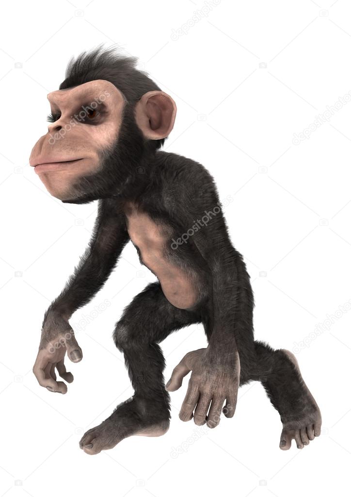 Little Chimp Walking — Stock Photo © PhotosVac #91351866