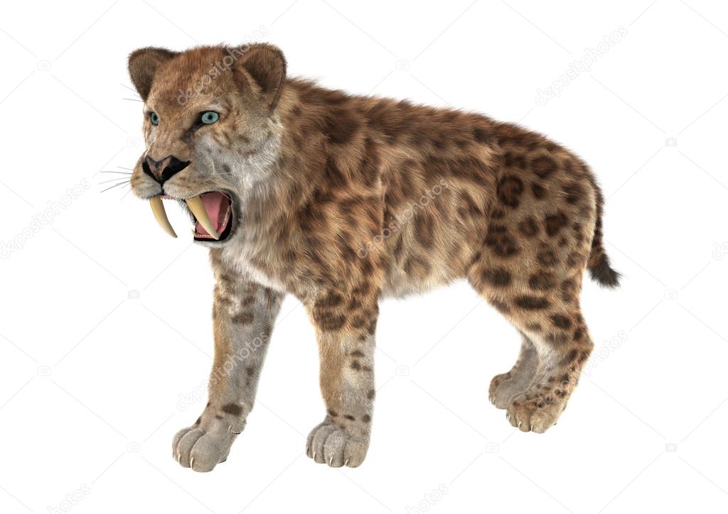 Big Cat Sabertooth Stock Photo by ©PhotosVac 91712144
