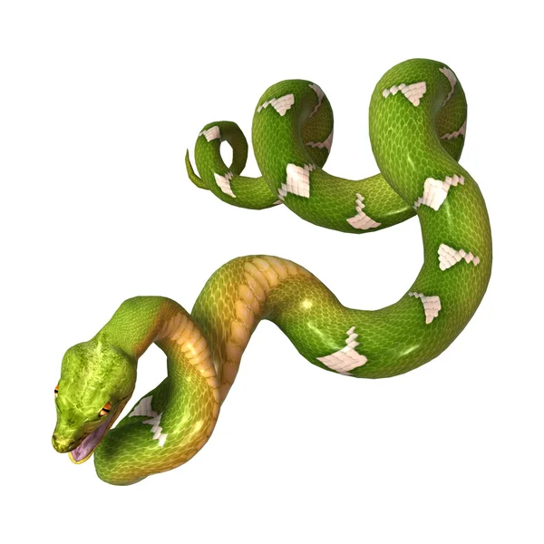 Green tree python Stock Photos, Royalty Free Green tree python Images ... Green tree python Stock Photos, Royalty Free Green tree python Images ...