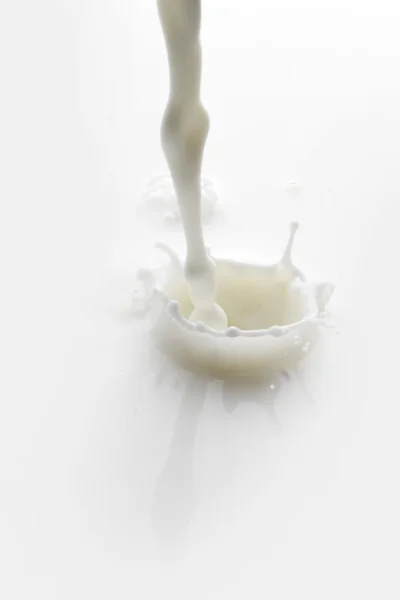 Pouring milk splash Stock Photo by ©yellow2j 128669002