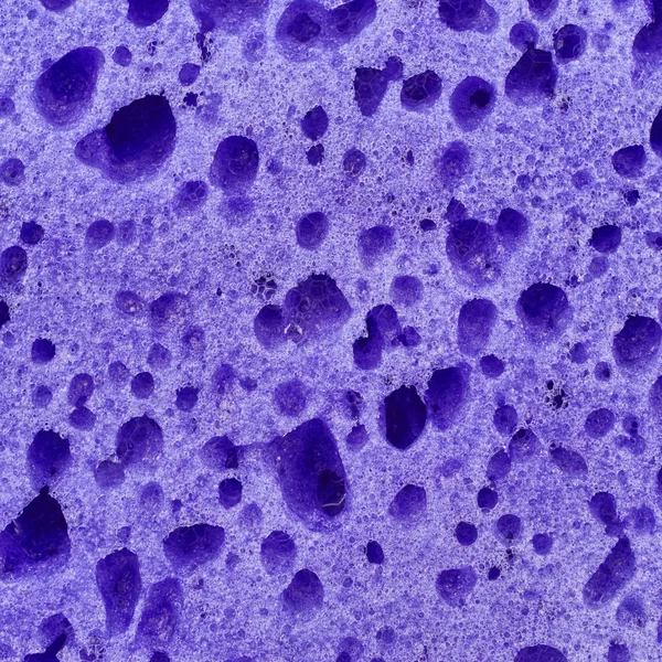 Sponge texture — Stock Photo © Demachy #13261585