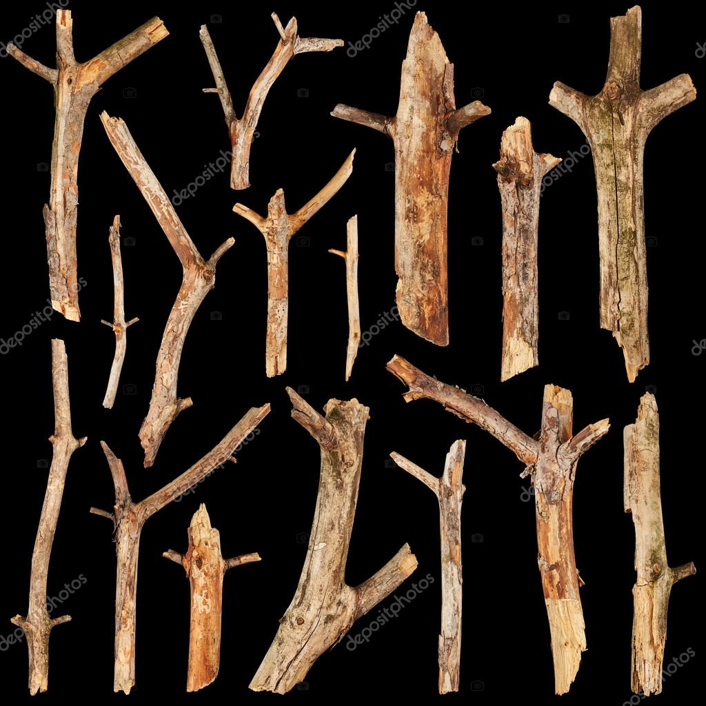 Tree sticks set Stock Photo by ©Nik_Merkulov 110271814