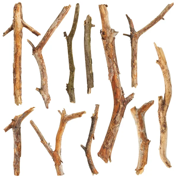 Macro branches isolated on white background — Stock Photo © dusan964 ...