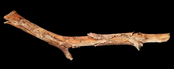 Single branch Stock Photos, Royalty Free Single branch Images ...