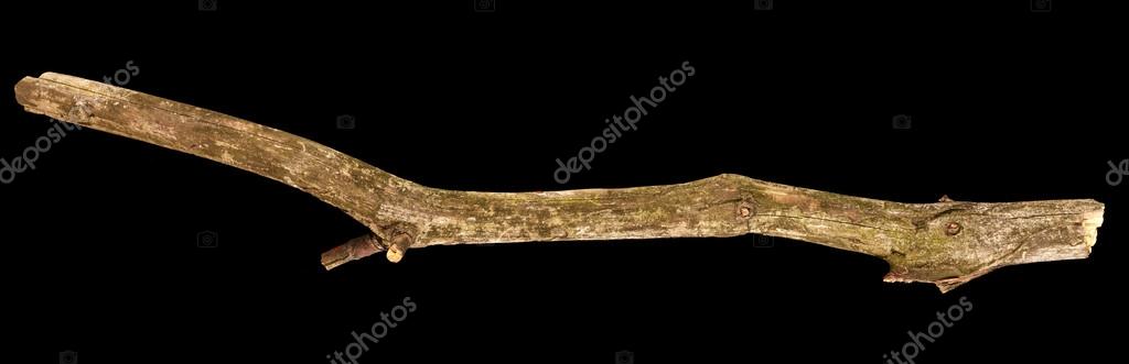 Birch wood texture Stock Photos, Royalty Free Birch wood texture Images ...