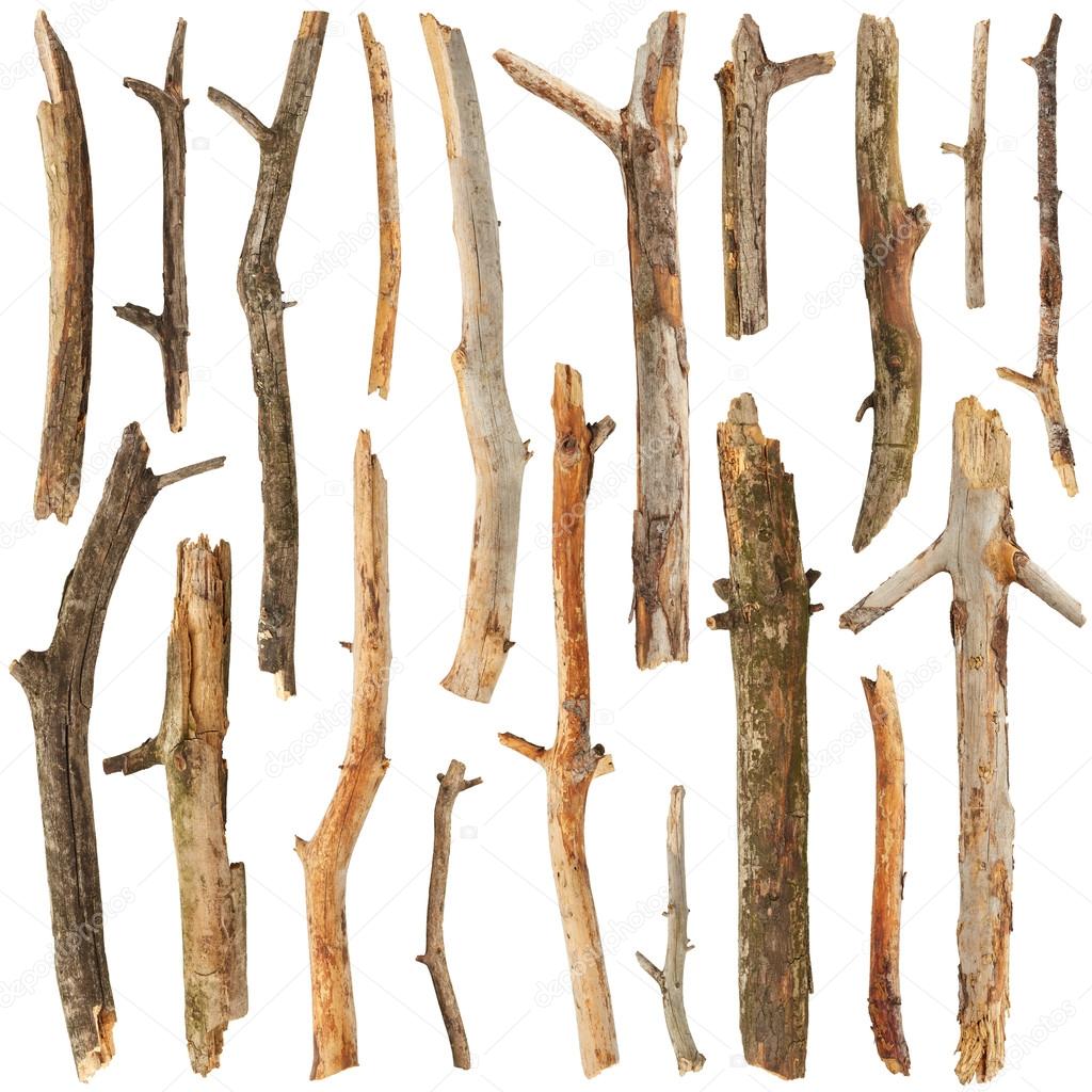 Tree sticks set Stock Photo by ©Nik_Merkulov 114824506
