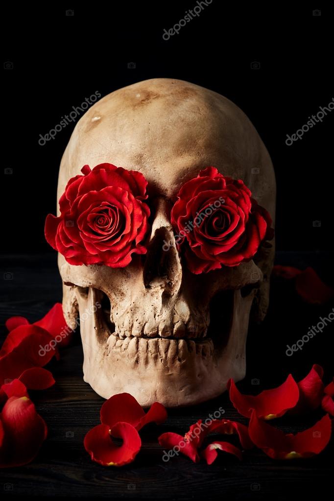 Skull and red roses Stock Photo by ©Nik_Merkulov 116347956
