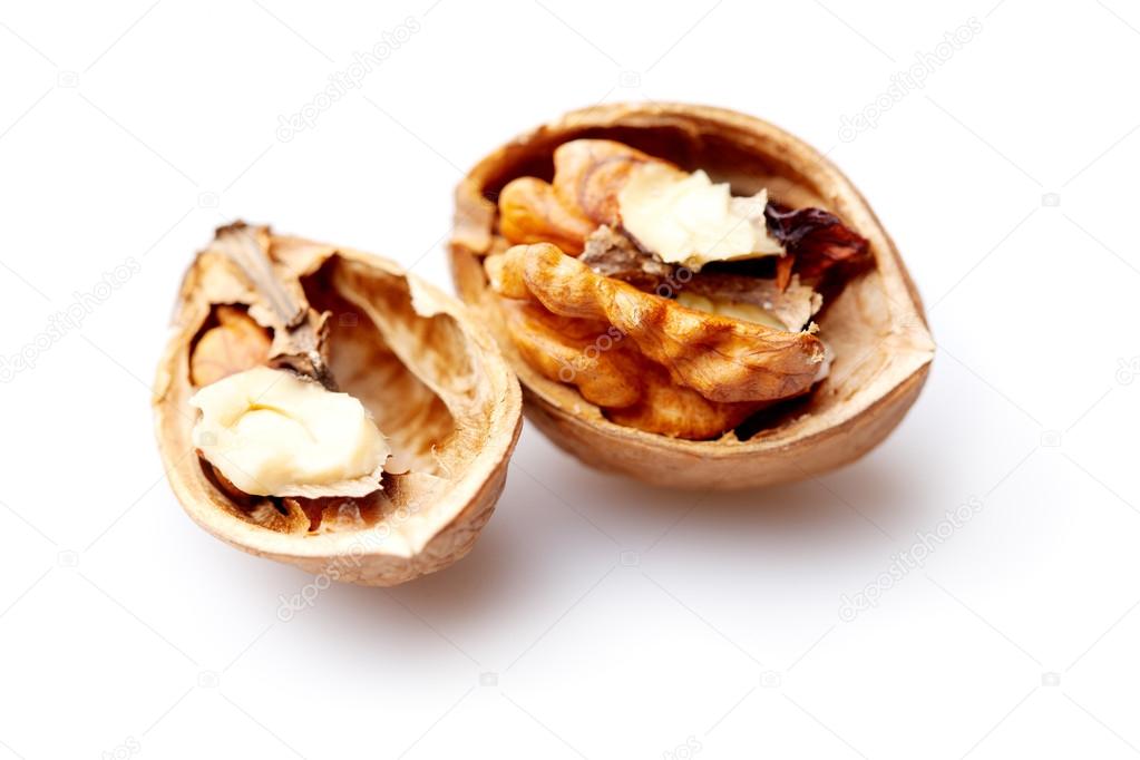 Walnut Stock Photo by ©Nik_Merkulov 57093063
