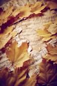 Vintage autumn background with paper frame and leaves — Stock Photo ...