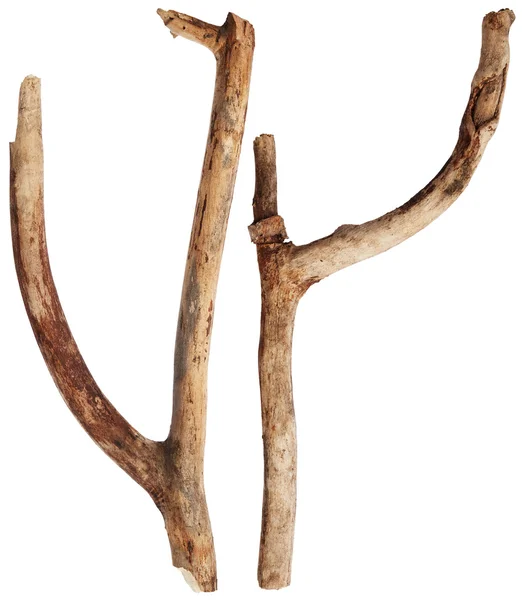 Tree sticks Stock Photos, Royalty Free Tree sticks Images | Depositphotos