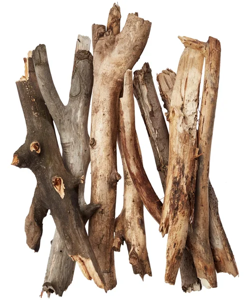 Tree sticks Stock Photos, Royalty Free Tree sticks Images | Depositphotos