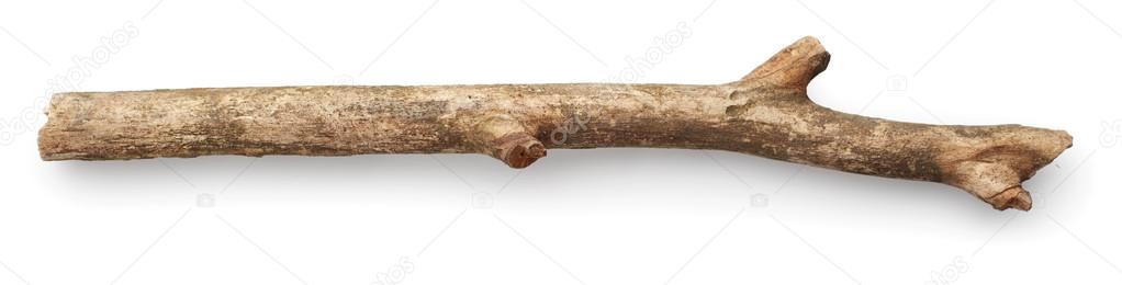 Stick tree Stock Photos, Royalty Free Stick tree Images | Depositphotos