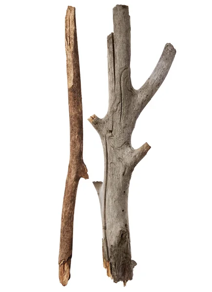 Wooden Stick Branch