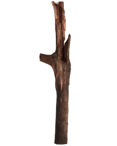 Wood branch — Stock Photo © Nik_Merkulov #83365380