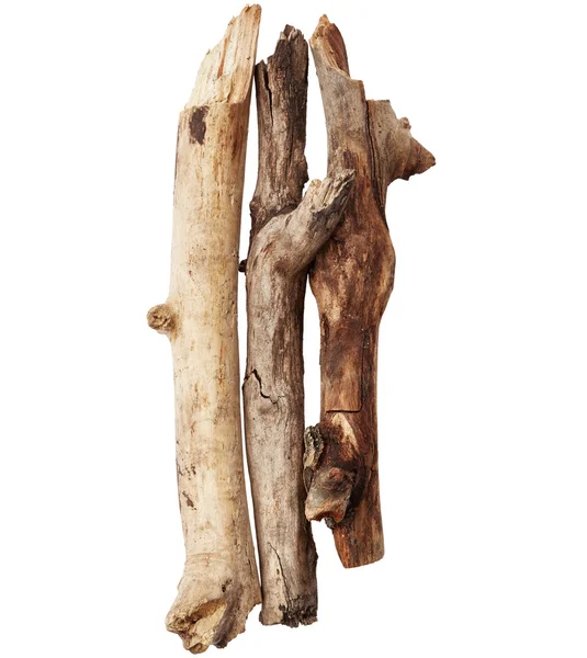 Tree branches on white background — Stock Photo © Nik_Merkulov #90867486