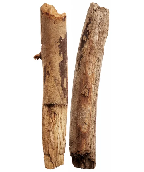 Tree branches on white background — Stock Photo © Nik_Merkulov #90867486