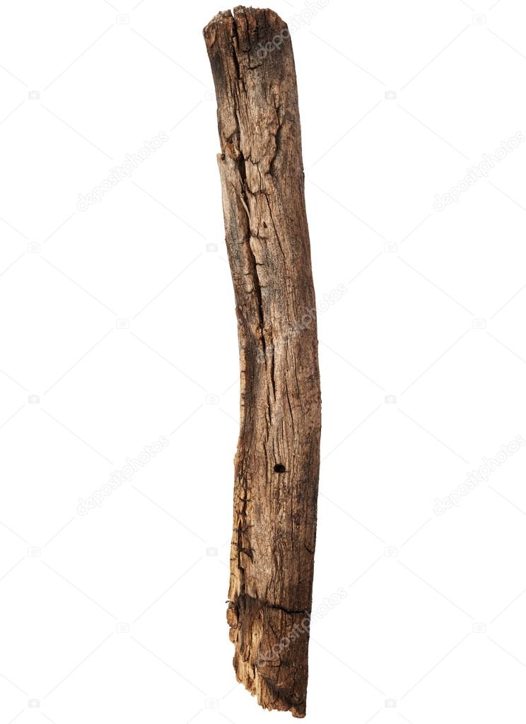Old dry wood branch Stock Photo by ©Nik_Merkulov 87375802