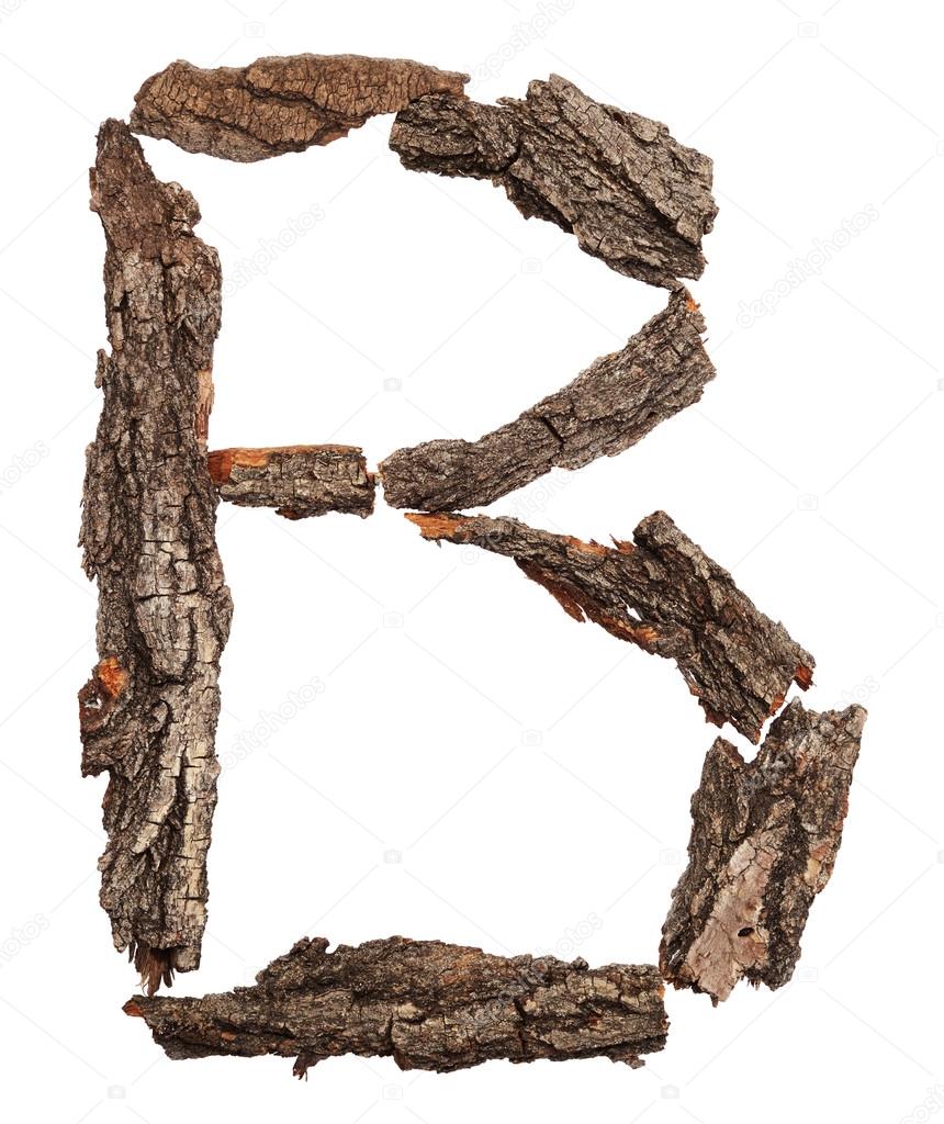 Alphabet from bark tree. Letter B — Stock Photo © Nik_Merkulov #89990578