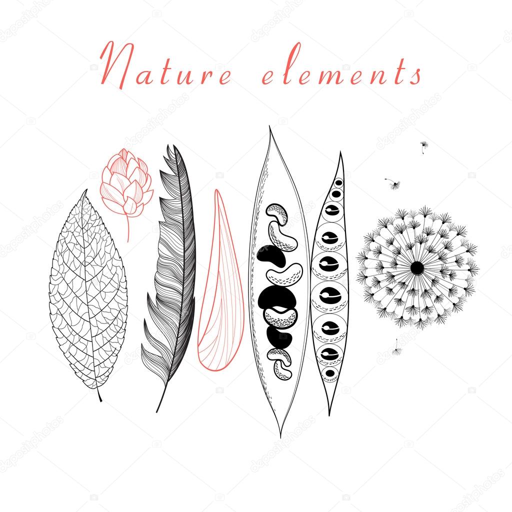 Natural set of different objects Stock Vector by ©tanor 102608080