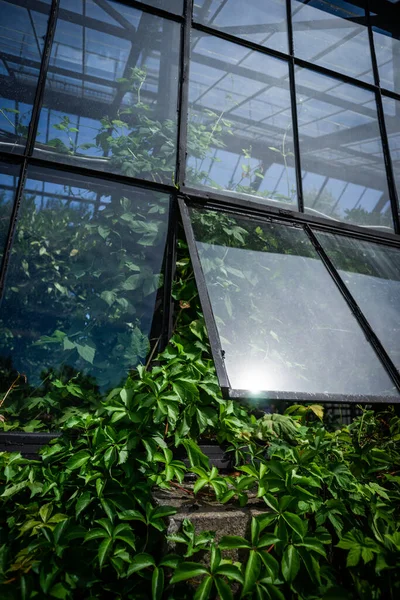 Smart greenhouse Stock Photos, Royalty Free Smart greenhouse Images | Depositphotos