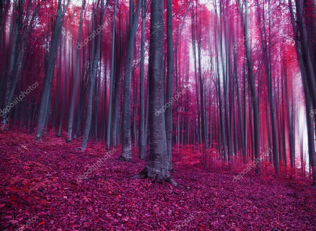Mystic fantasy pink forest Stock Photo by ©marrakeshh 113266994