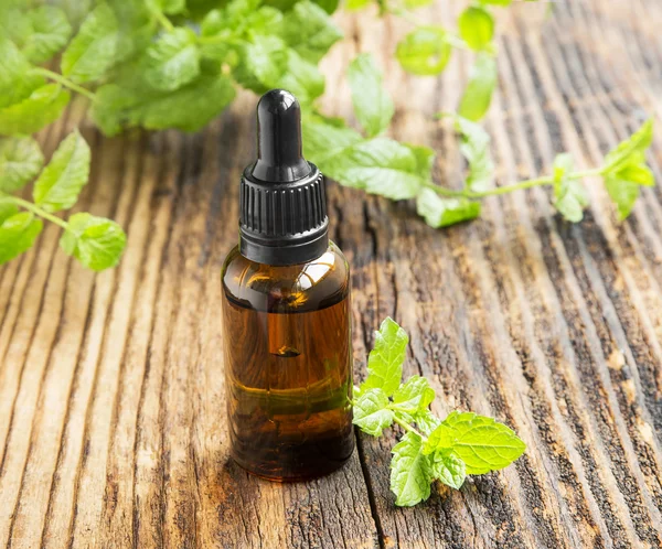 Mint oil/essence - Stock Image - Everypixel