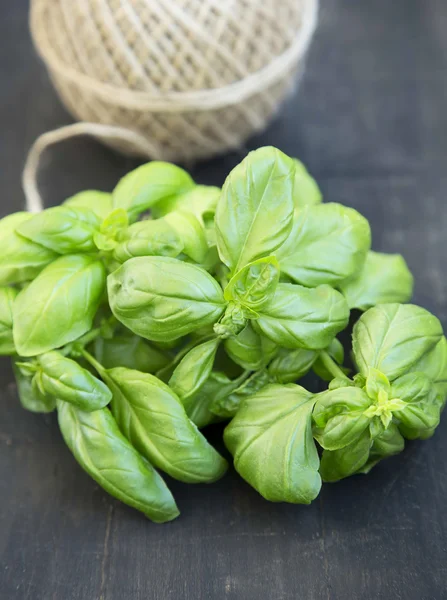 Fresh Aromatic Basil Herb - Stock Image - Everypixel