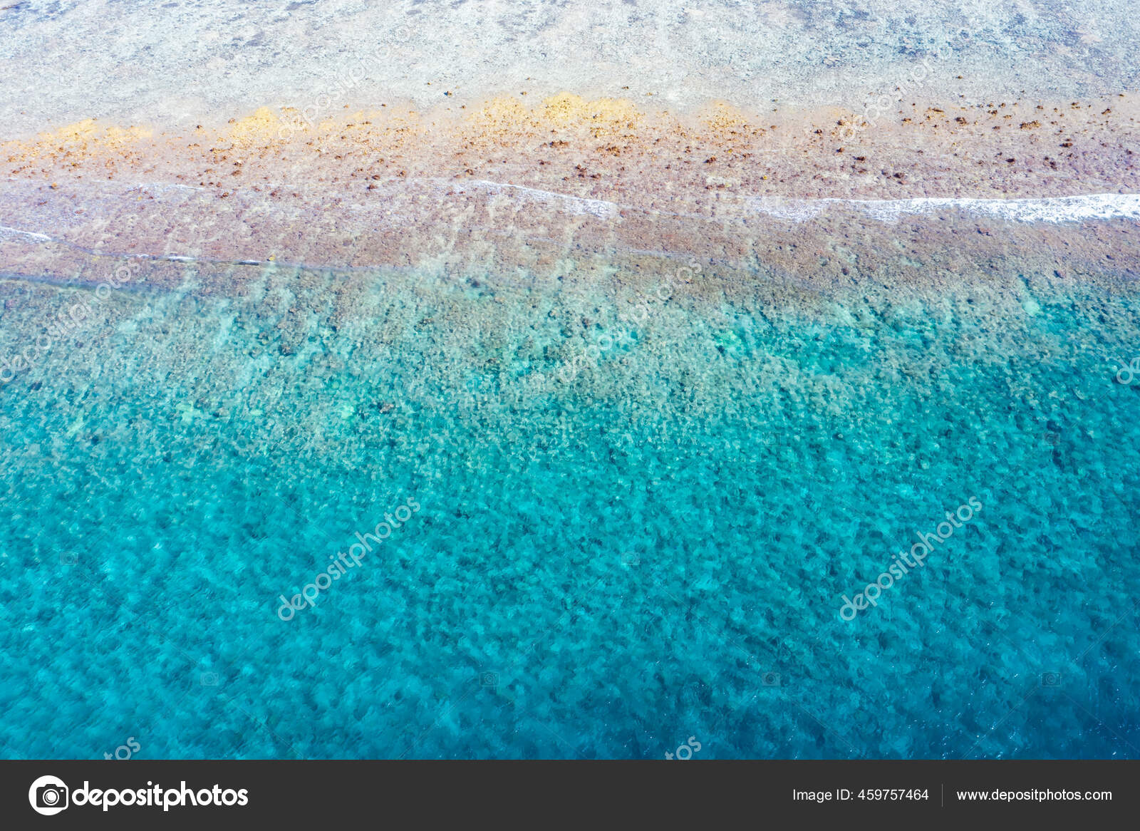 Wave Coral Beach Beautiful Natural Shore Coast Background Summer Time ...