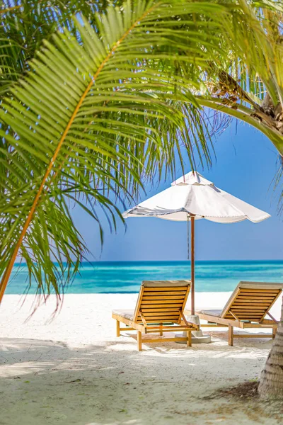 Beach Scene Banners For Websites