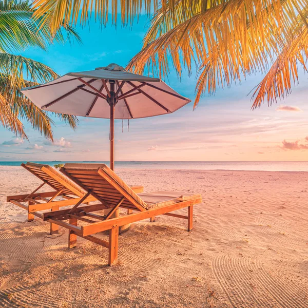 Smuk strand baggrund for sommer rejse med sol, kokos træ og strand ...