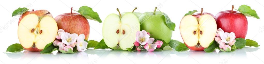 Apple fruit apples fruits in a row sliced isolated on white — Stock ...