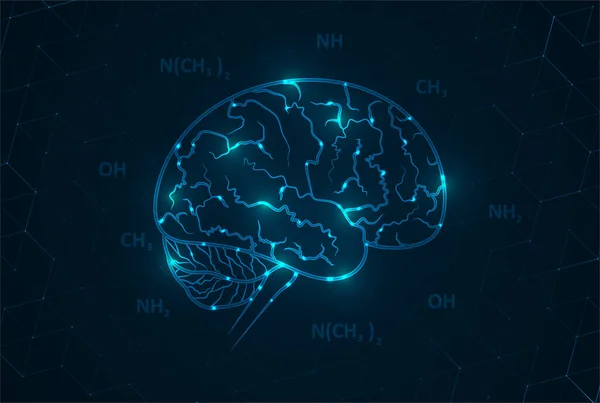 Digital human brain Stock Vector Image by ©urfingus #186131004