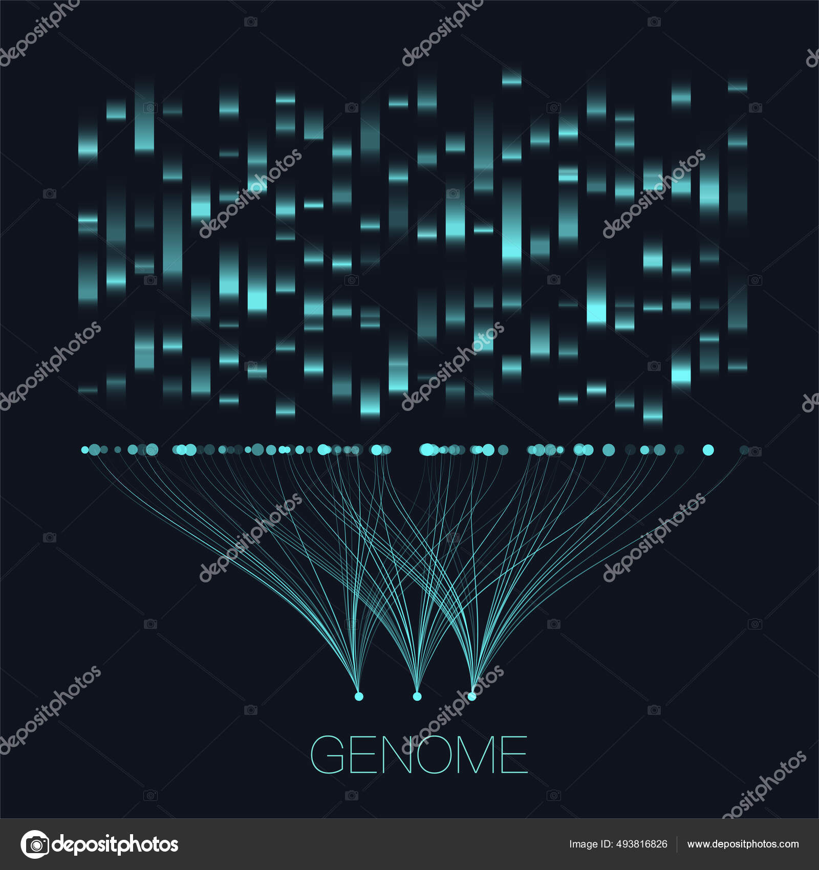 Big Genomic Data Visualization Dna Test Genom Map Graphic Concept Stock ...