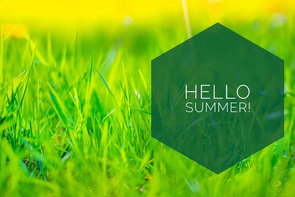 Hello june summer Stock Photos, Royalty Free Hello june summer Images ...