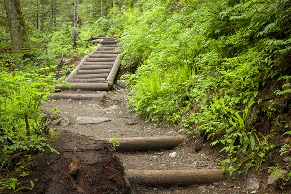 Steps path Images - Search Images on Everypixel