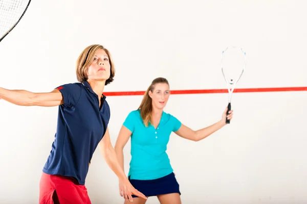 Squash racket sport in gym, women competition - Stock Image - Everypixel