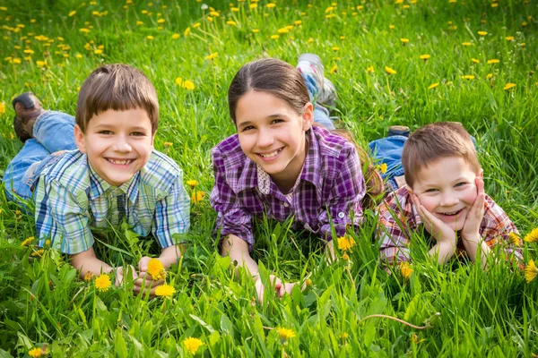 Three kids on spring green meadow Stock Photo by ©sbworld7 109287050
