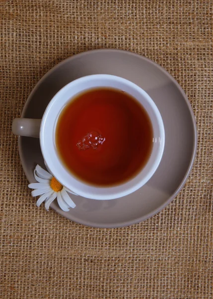 Tea turkey Stock Photos, Royalty Free Tea turkey Images | Depositphotos