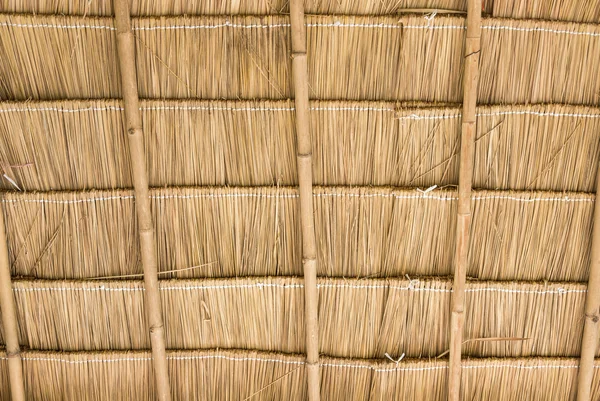 Thatched roof huts Stock Photos, Royalty Free Thatched roof huts Images ...