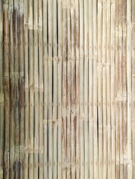 Bamboo wall Stock Photo by ©scenery1 49491597