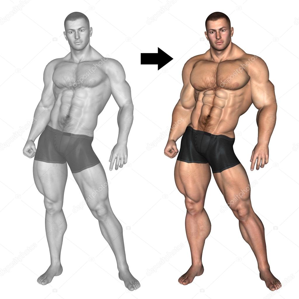 Muscle Morph Transformation