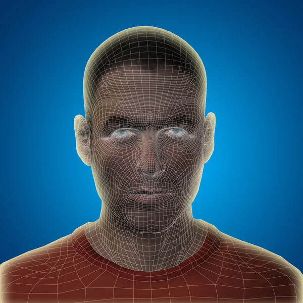 Wireframe young human male face Stock Photo by ©design36 152812306