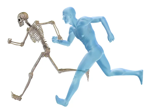 Hyperextension Anatomy Definition Human Body Anatomy