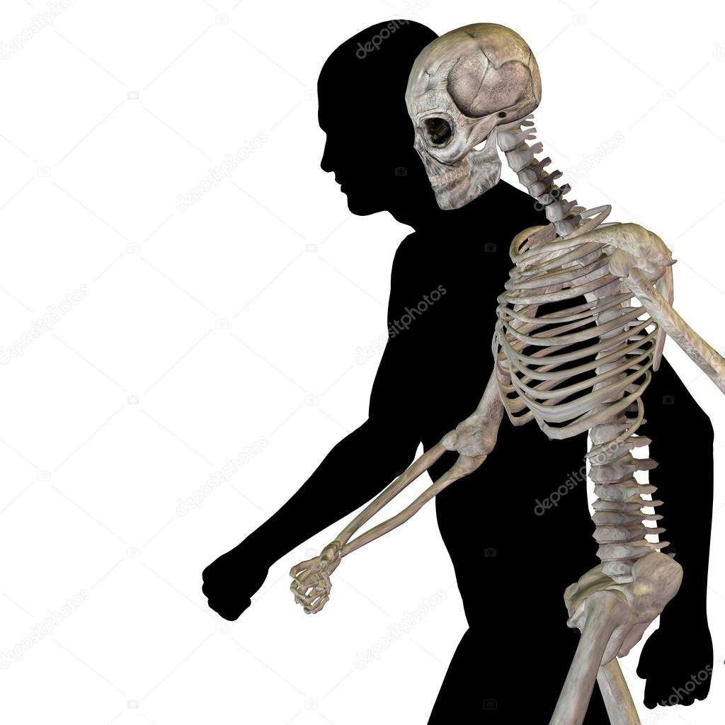 Human anatomy with bones — Stock Photo © design36 #105249048