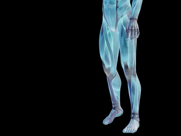 Blue gray body Stock Photos, Royalty Free Blue gray body Images ...