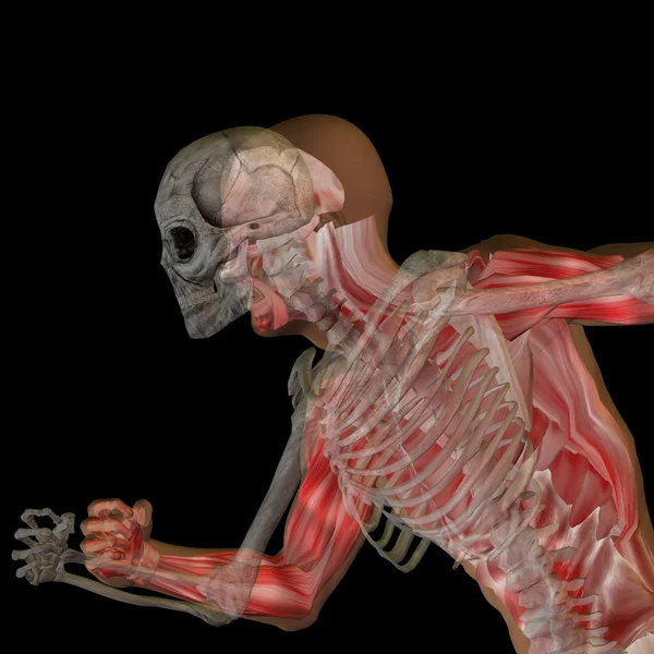 Stretching the tendons Stock Photos, Royalty Free Stretching the ...