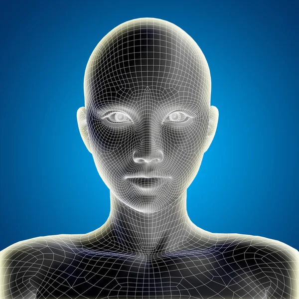 wireframe young female face - Stock Image - Everypixel