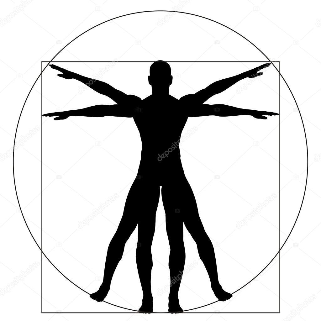 Proportion anatomy body Stock Photo by ©design36 120124956