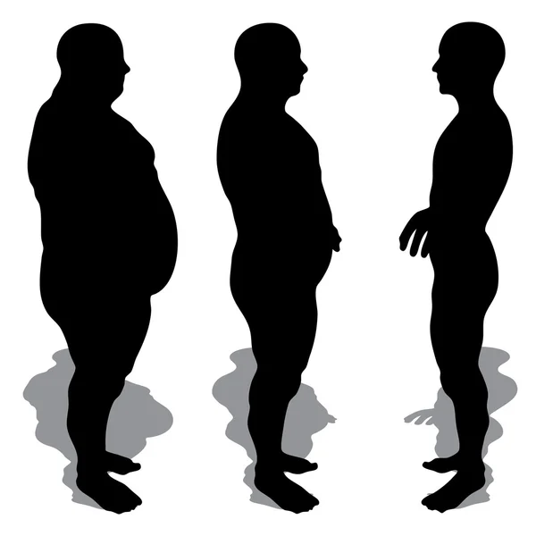 3D illustration fat overweight vs slim Stock Illustration by ©design36 ...